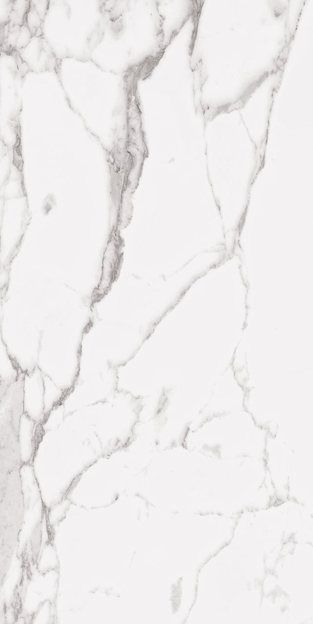 Statuary White 24x48 R Up Porcelain Tile | tilestate